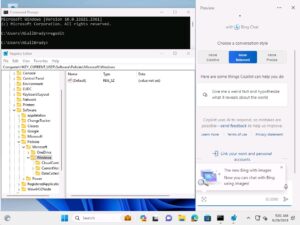 How can I disable Copilot ? - Microsoft Intune - www.windows-noob.com